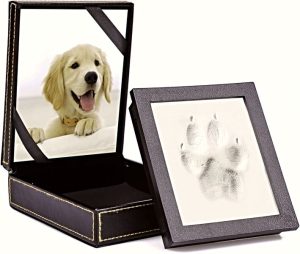12 Popular Pet Paw Print Kits for Dogs and Cats