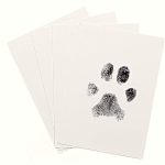 12 Popular Pet Paw Print Kits for Dogs and Cats