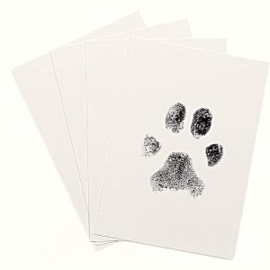 12 Popular Pet Paw Print Kits for Dogs and Cats