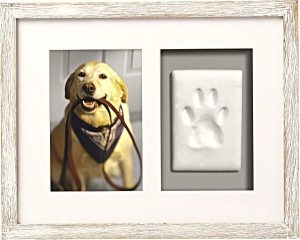 12 Popular Pet Paw Print Kits for Dogs and Cats
