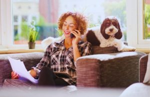 Coles Pet Insurance Review - Pet Memorial Australia